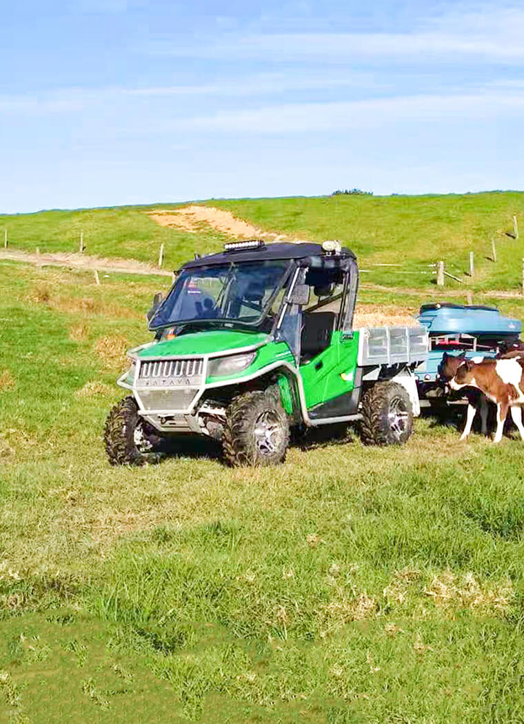 2024 Lvcci＆Kingwoo Electric UTV 4x4