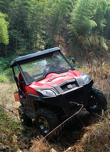 2024 Lvcci＆Kingwoo Electric UTV 4x4